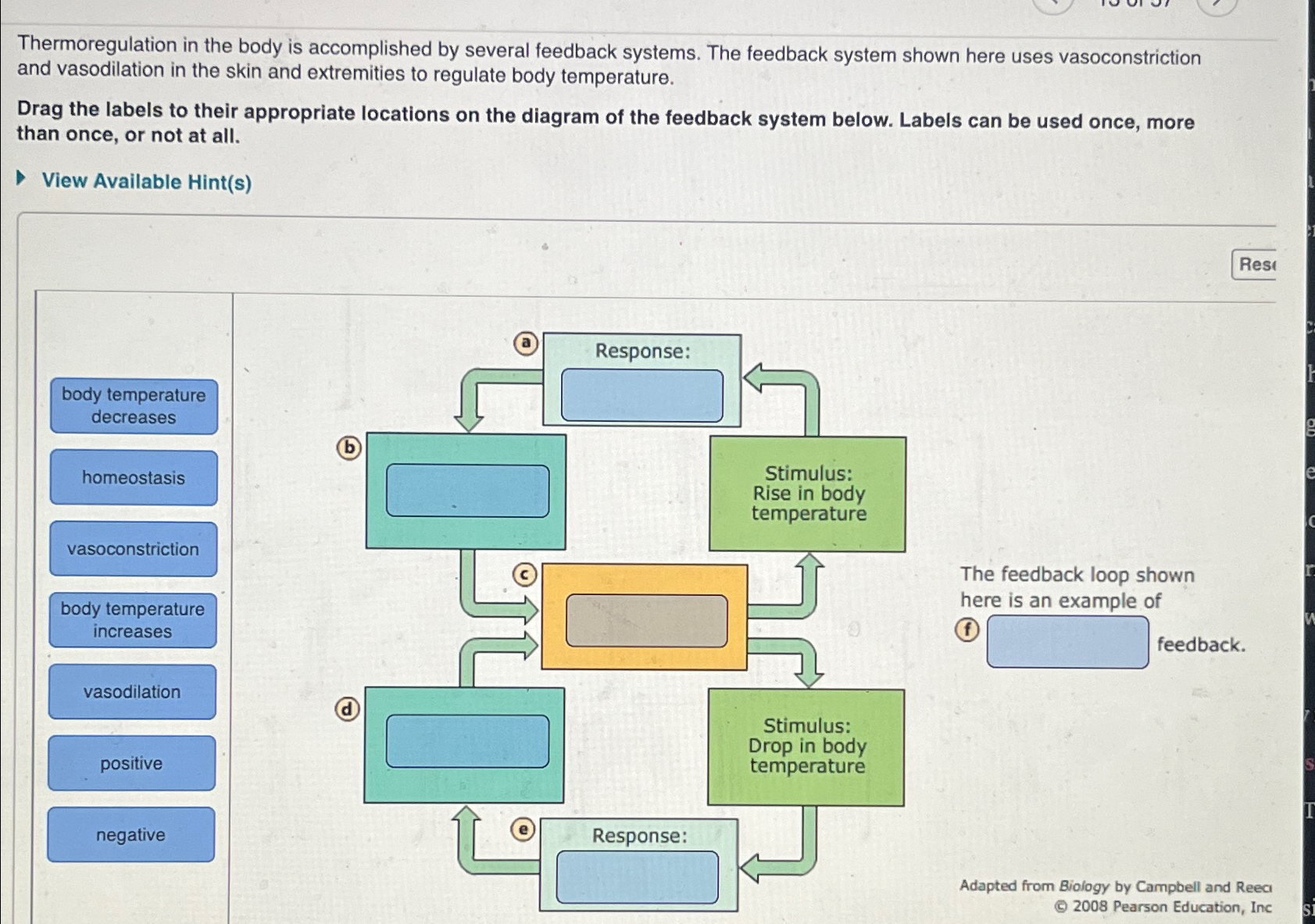 Thermoregulation in the body is accomplished by | Chegg.com