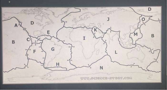 Solved Match the plate letter to the correct plate name. | Chegg.com