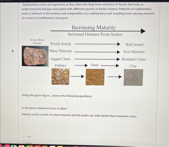 Solved Sedimentary rocks are important as they allow the | Chegg.com