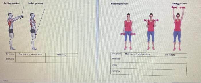 Solved fill out the chart for each picture fill out both | Chegg.com