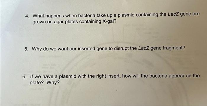 Solved Pre-lab questions: 1. What are restriction enzymes | Chegg.com