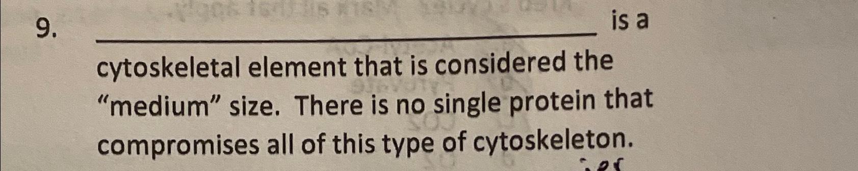 Solved is a cytoskeletal element that is considered the | Chegg.com