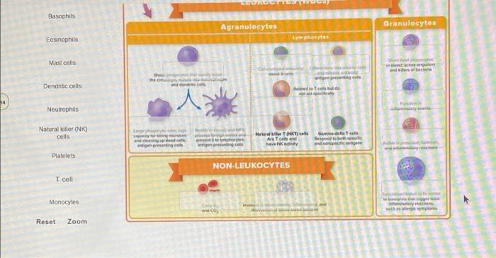 Label this infographic to test your understanding of | Chegg.com