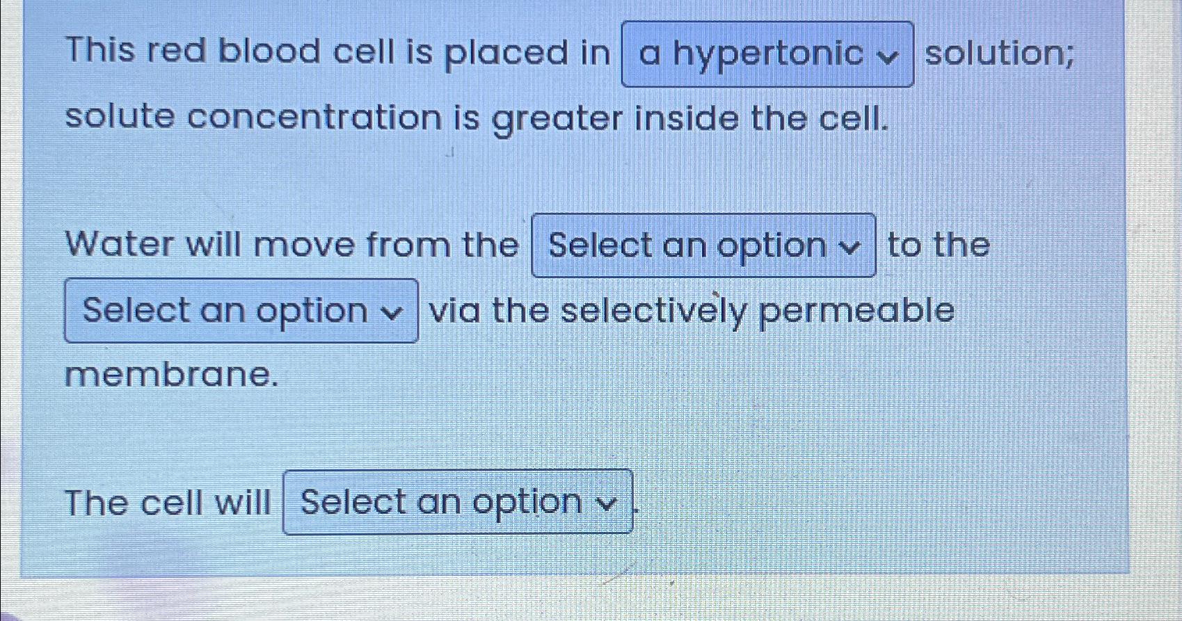 Solved This red blood cell is placed in solution; solute | Chegg.com