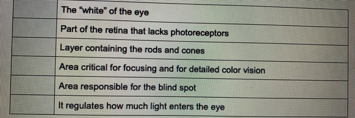 Solved Eye anatomy 8. Match the labeled structures with the | Chegg.com