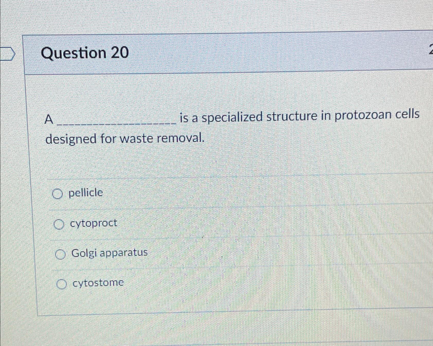 Solved Question 20A is a specialized structure in protozoan | Chegg.com