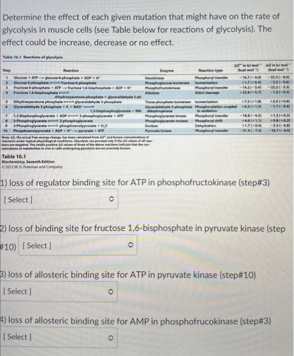 Solved Determine The Effect Of Each Given Mutation That