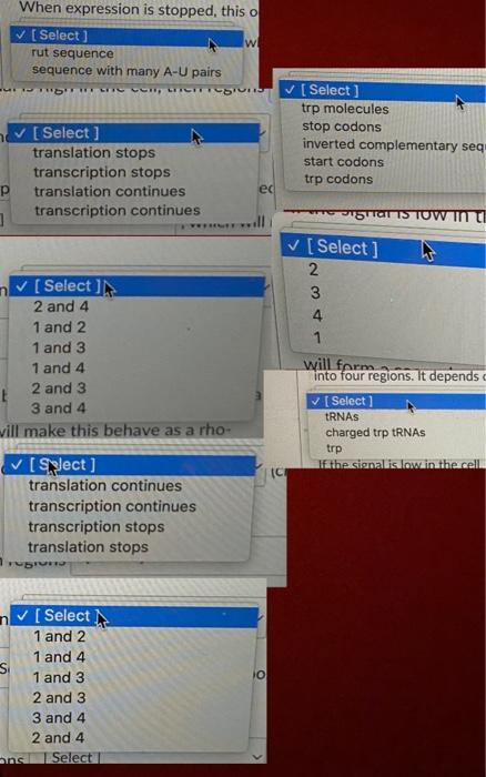 Solved The TRP operon is regulated by two mechanisms, the | Chegg.com