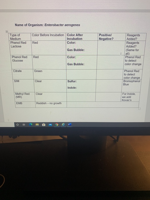 Solved Name of Organism: Enterobacter aerogenes Type of | Chegg.com