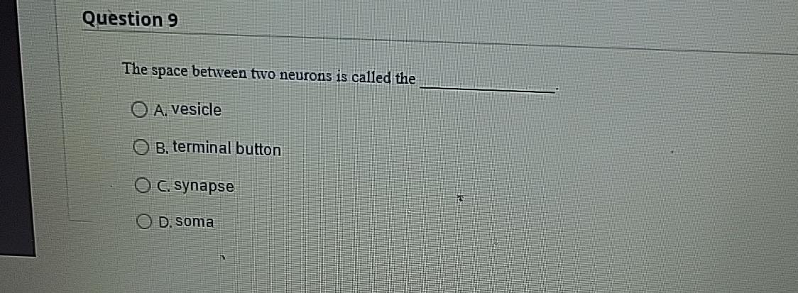 Solved Question 9The space between two neurons is called | Chegg.com