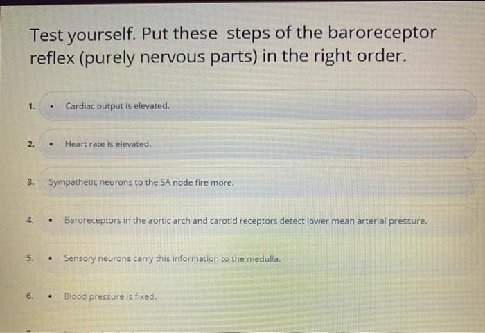 Solved Test yourself. Put these steps of the baroreceptor | Chegg.com