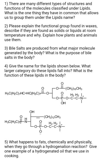 Solved 1) There are many different types of structures and | Chegg.com