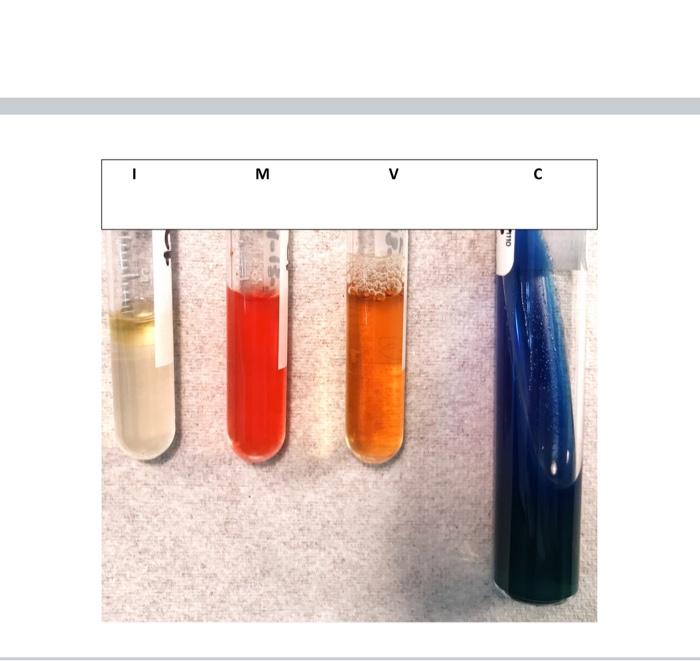 I M м V C | Chegg.com
