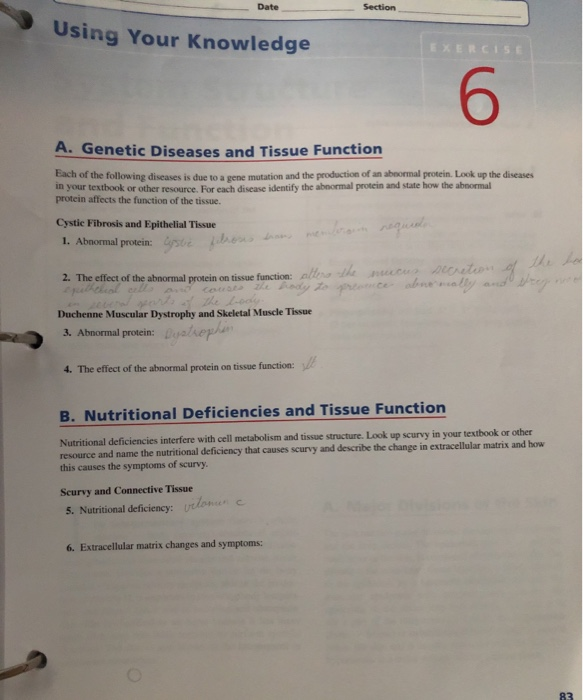 Solved Date Section Using Your Knowledge EXERCIS 6 A. | Chegg.com