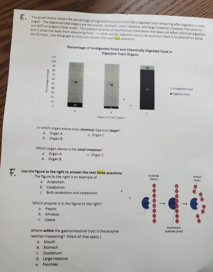 Solved E. The graph below shows the percentage of digested | Chegg.com