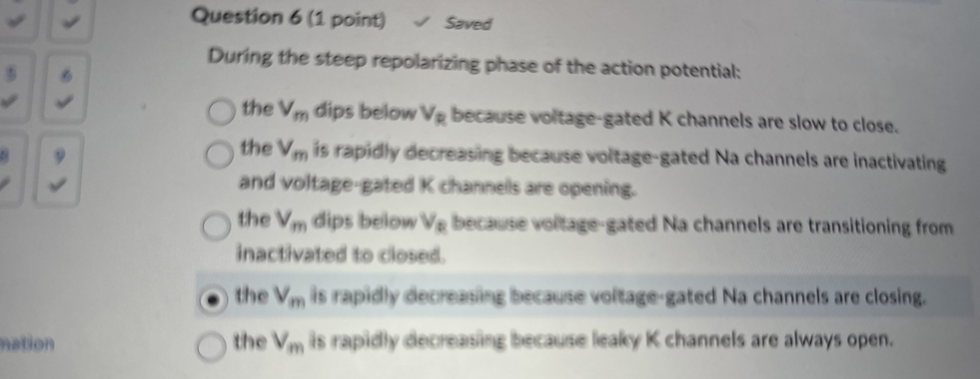 Solved Question 6 (1 ﻿point) ﻿SavedDuring the steep | Chegg.com