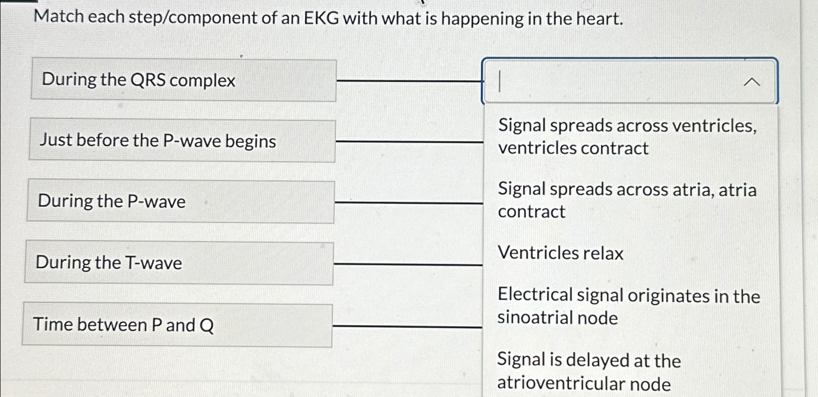 Solved Match each step/component of an EKG with what is | Chegg.com