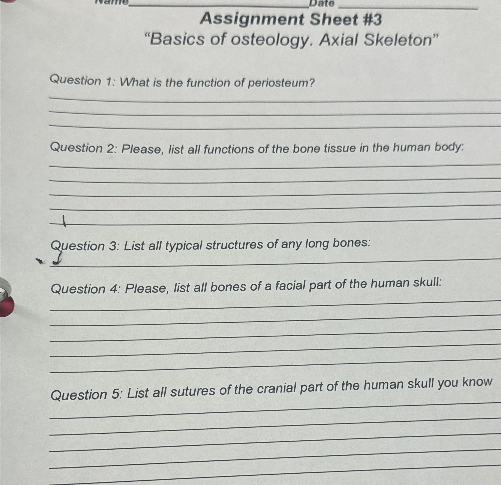 Solved Assignment Sheet #3"Basics of osteology. Axial | Chegg.com