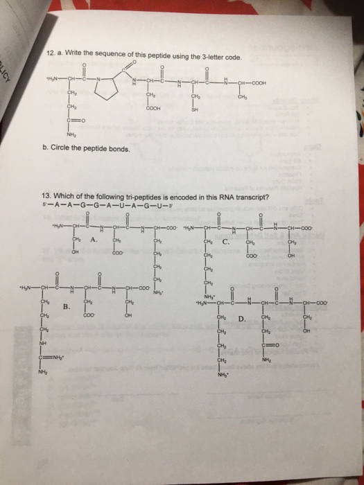 Solved 12. a. Write the sequence of this peptide using the | Chegg.com