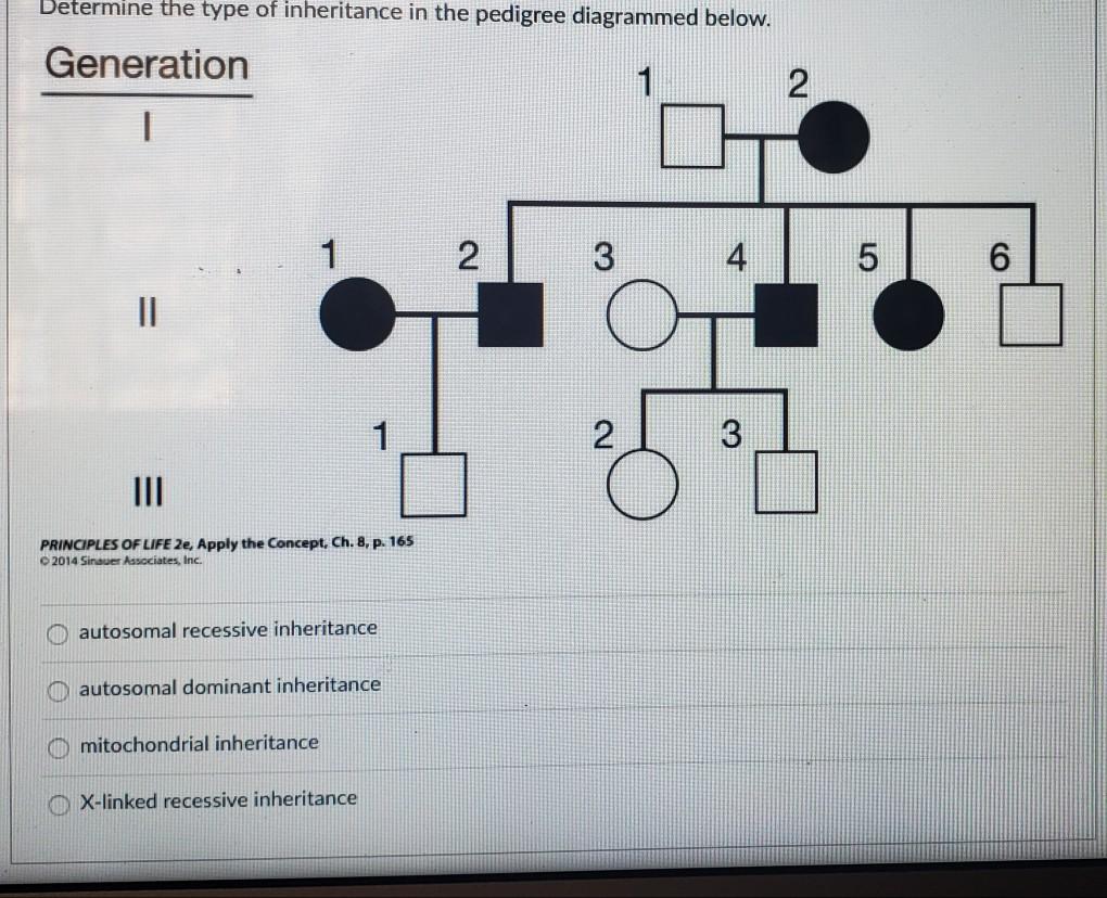 Solved Determine the type of inheritance in the pedigree | Chegg.com