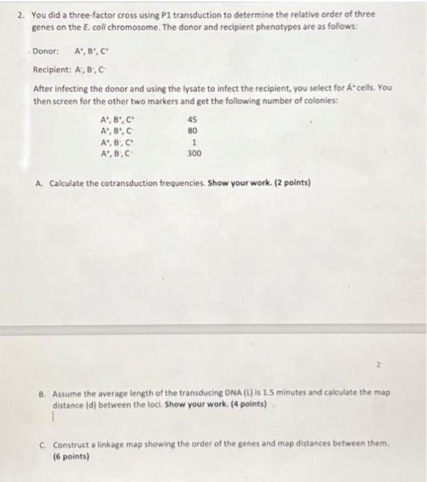 Solved 2. You did a three-factor cross using P1 transduction | Chegg.com