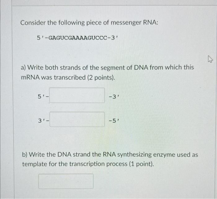 Solved Consider the following piece of messenger RNA: | Chegg.com