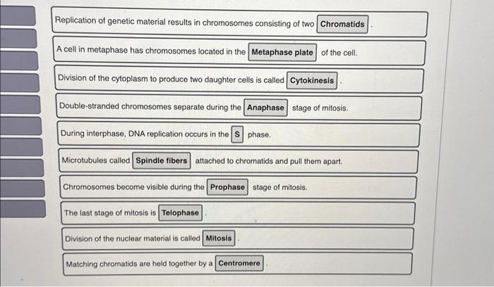 Solved > Exercise 5 Review & Practice Sheet: Anatomy of the | Chegg.com