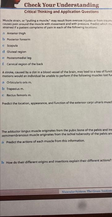 Solved Muscle strain, or "pulling a muscle." may result from | Chegg.com