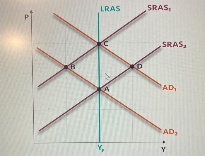 Solved Graph with X-axis labeled Y and the Y-axis labeled P. | Chegg.com