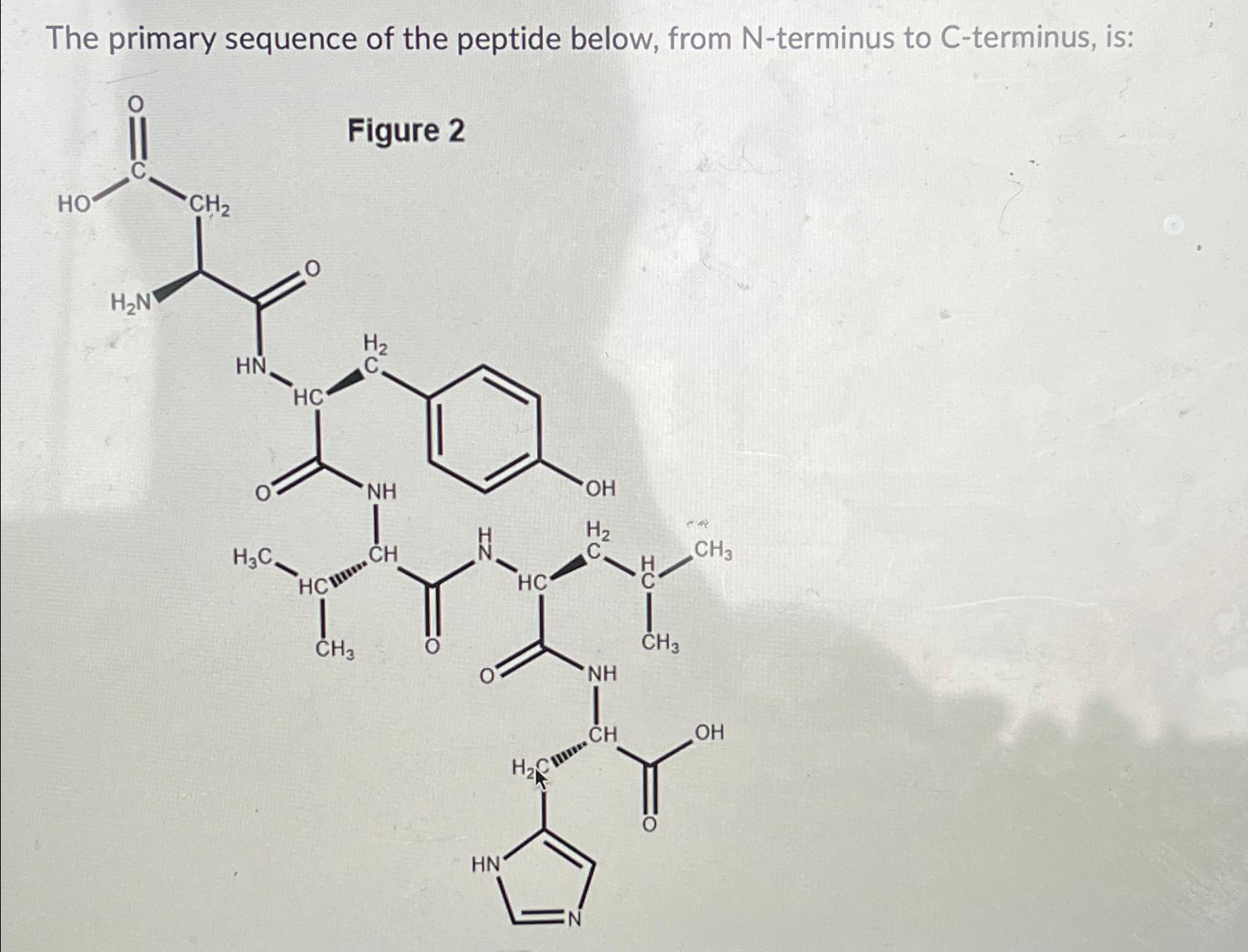 Solved The primary sequence of the peptide below, from | Chegg.com