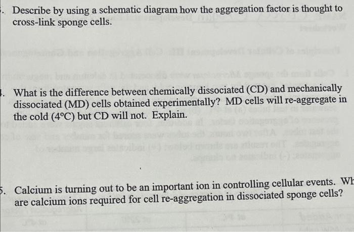 Solved Describe by using a schematic diagram how the | Chegg.com