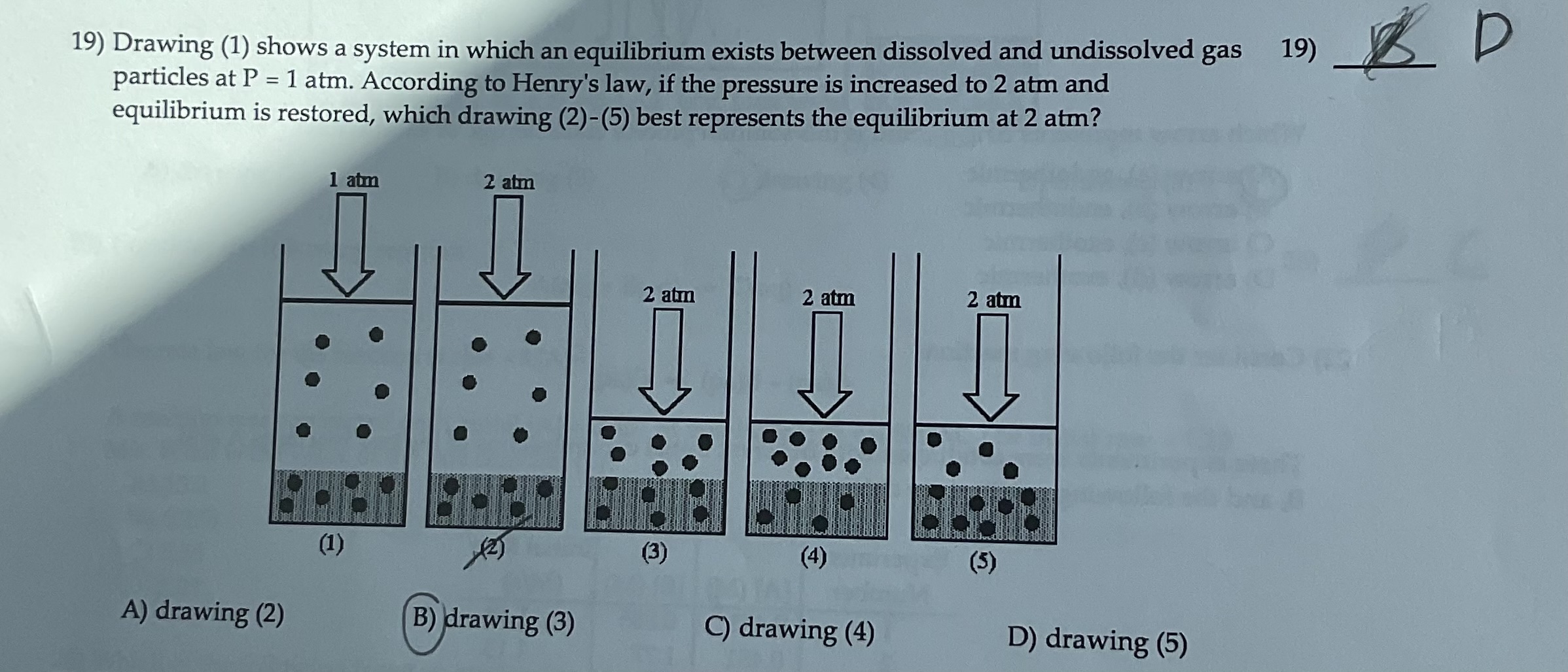 Drawing (1) ﻿shows a system in which an equilibrium | Chegg.com