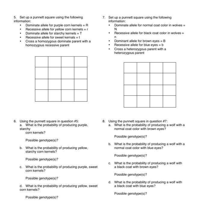 Solved 5. Set up a punnett square using the following 7. Set | Chegg.com