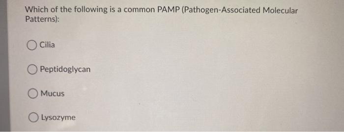 Solved Which of the following is a common PAMP | Chegg.com