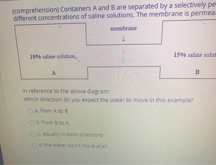 Solved Question completion QUESTION 10 (comprehension) | Chegg.com