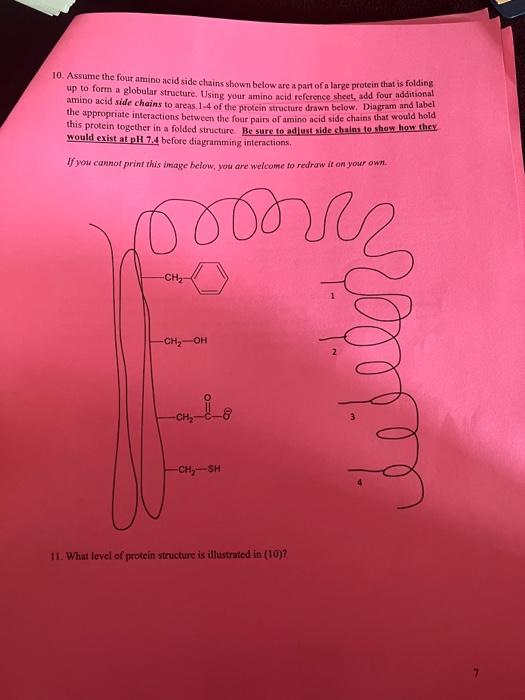 Solved 10 Assume The Four Amino Acid Side Chains Shown