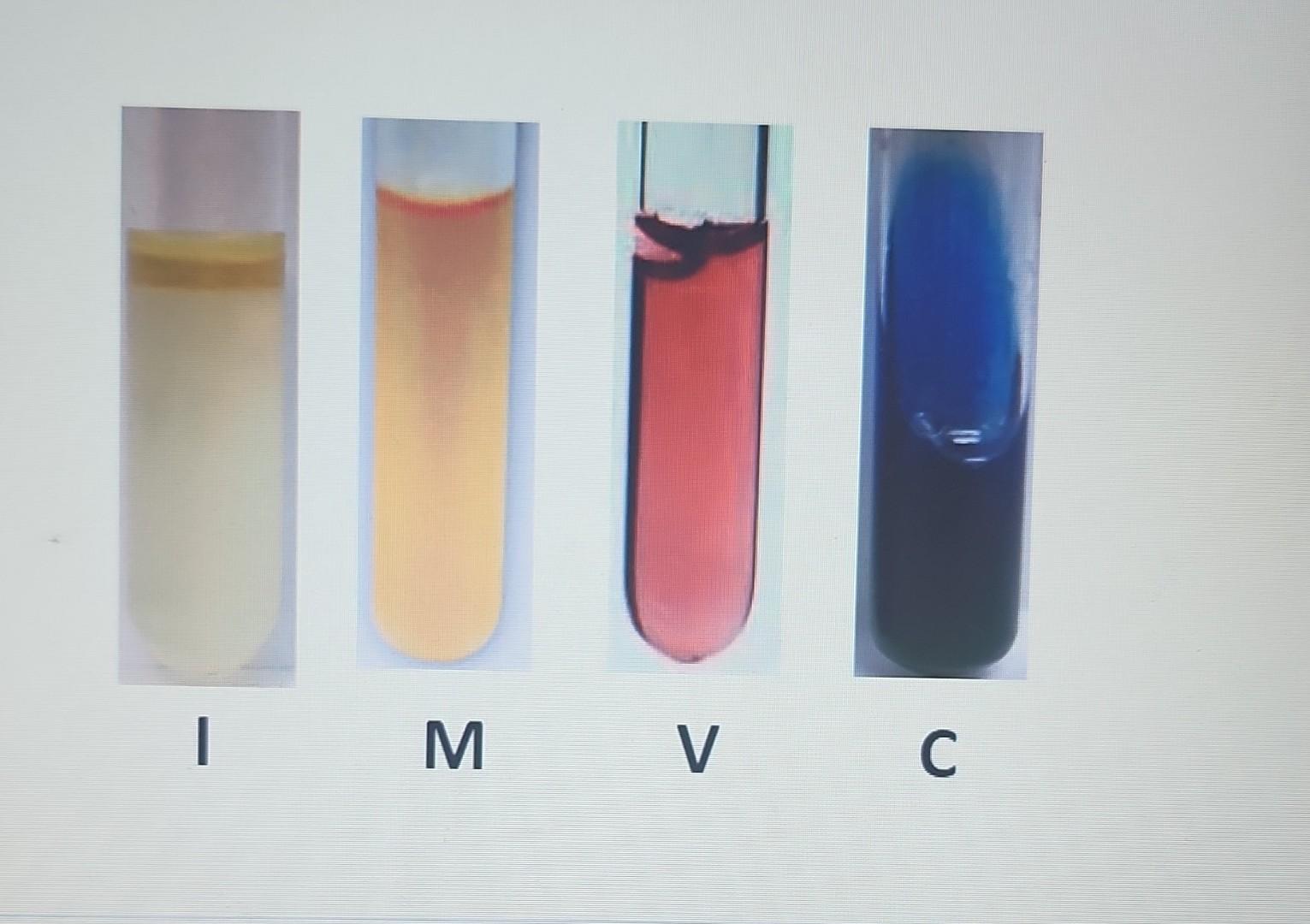 Solved v) e Media bench, where your instructor would provide | Chegg.com