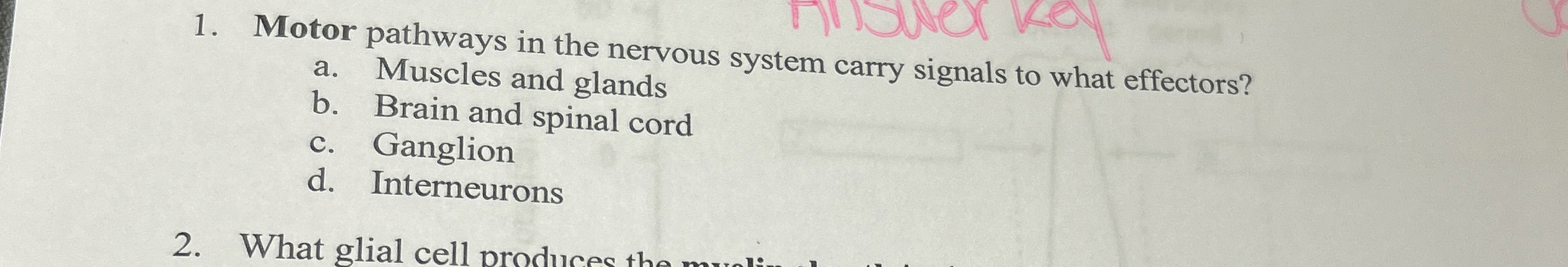 Solved Motor pathways in the nervous system carry signals to | Chegg.com