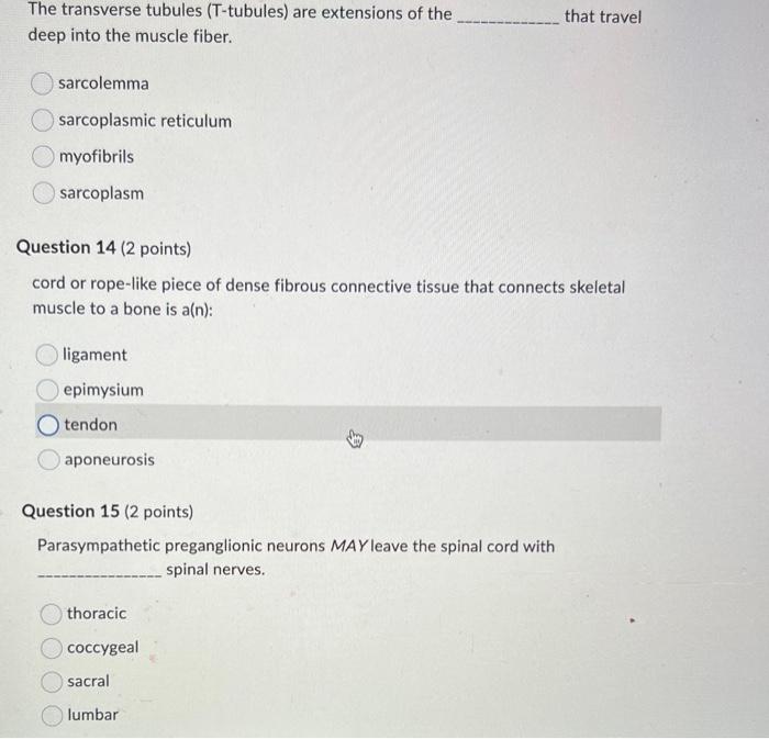 Solved The transverse tubules (T-tubules) are extensions of | Chegg.com
