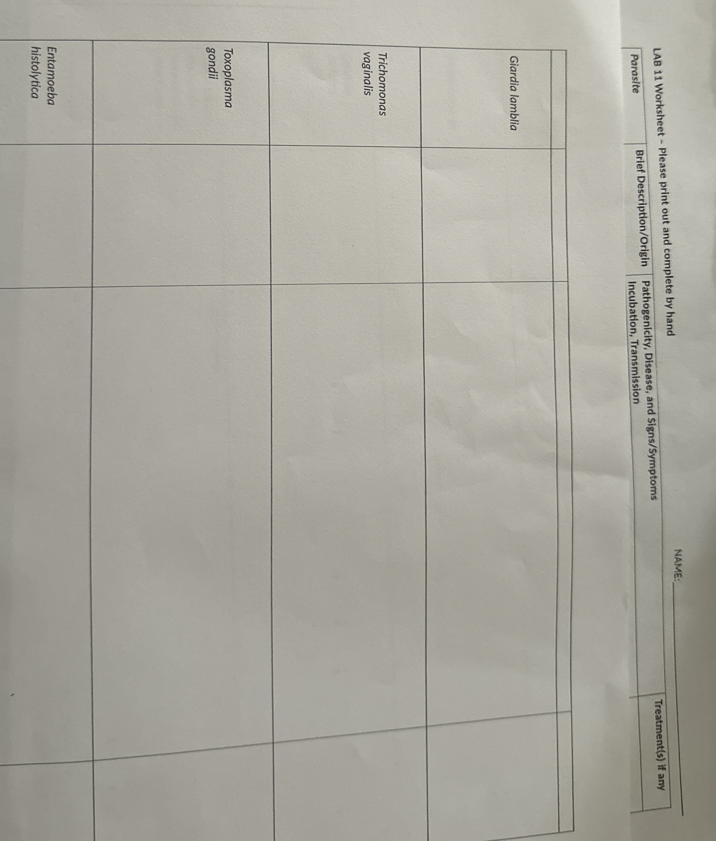 Solved LAB 11 ﻿Worksheet - ﻿Please print out and complete by | Chegg.com