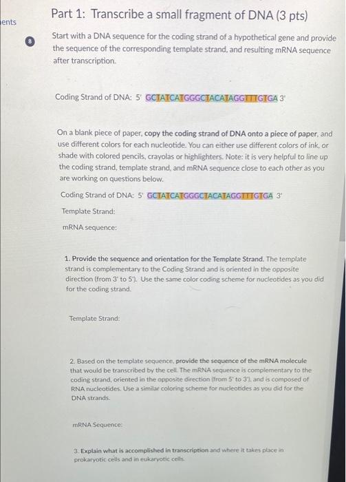 Solved ents Part 1: Transcribe a small fragment of DNA (3 | Chegg.com