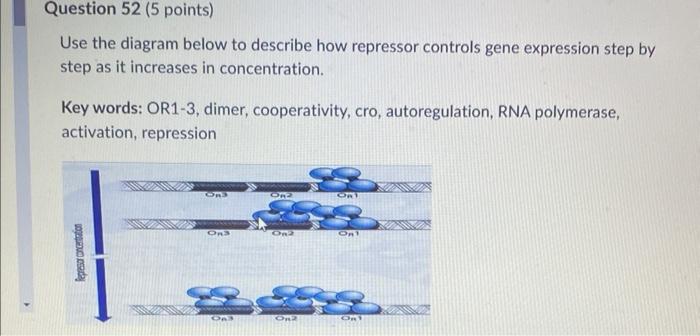 Solved Use the diagram below to describe how repressor | Chegg.com