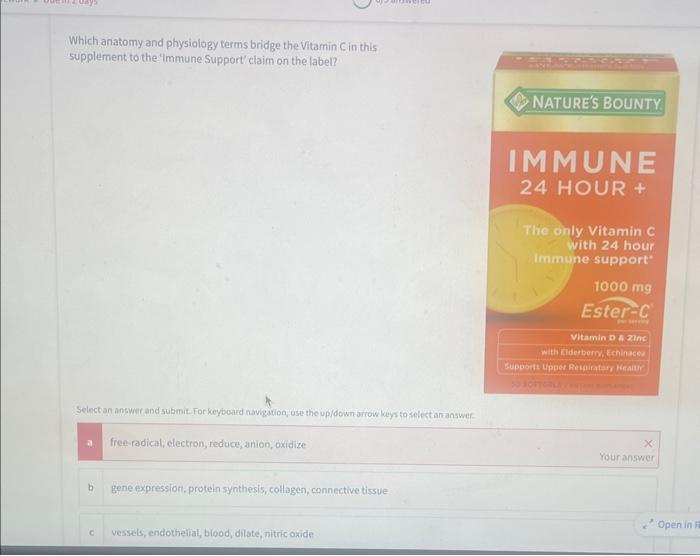 Solved Which anatomy and physiology terms bridge the Vitamin | Chegg.com