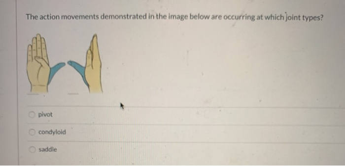 Solved The action movements demonstrated in the image below | Chegg.com