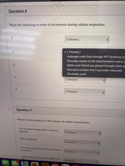 Solved Place the following in order of occurrence during | Chegg.com