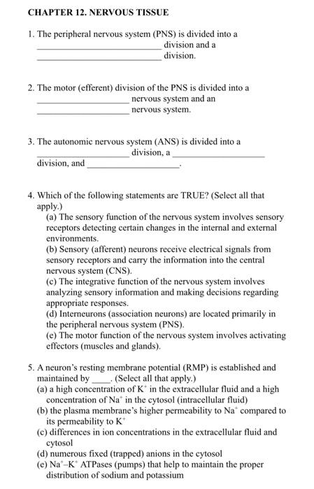 Solved 1. The peripheral nervous system (PNS) is divided | Chegg.com