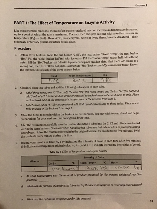 Solved: Enzymes PART 1: The Effect Of Temperature On Enzym... | Chegg.com