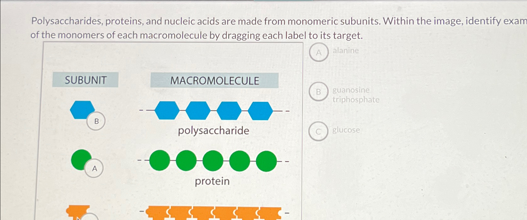 Solved Polysaccharides, proteins, and nucleic acids are made | Chegg.com Solved Polysaccharides, proteins, and nucleic acids are made | Chegg.com