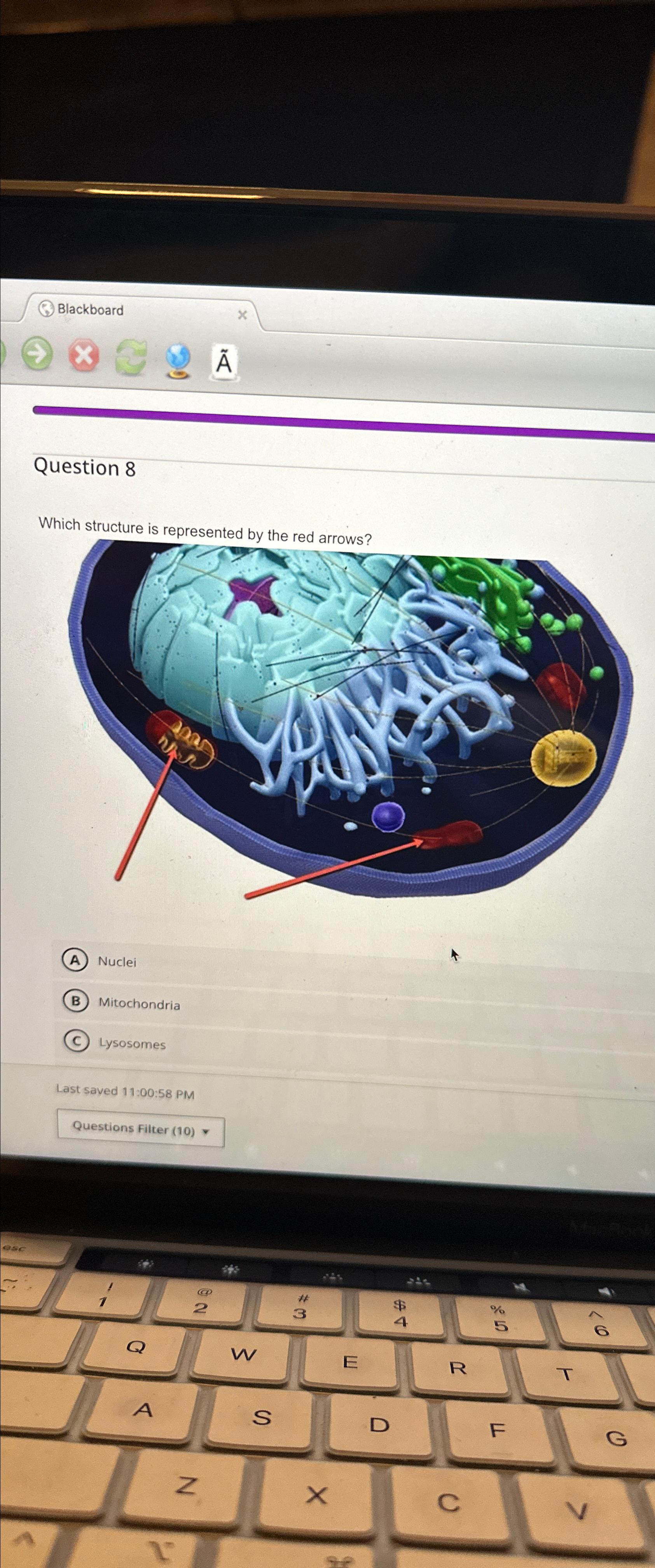 Solved Blackboard(2)Question 8Which structure is represented | Chegg.com
