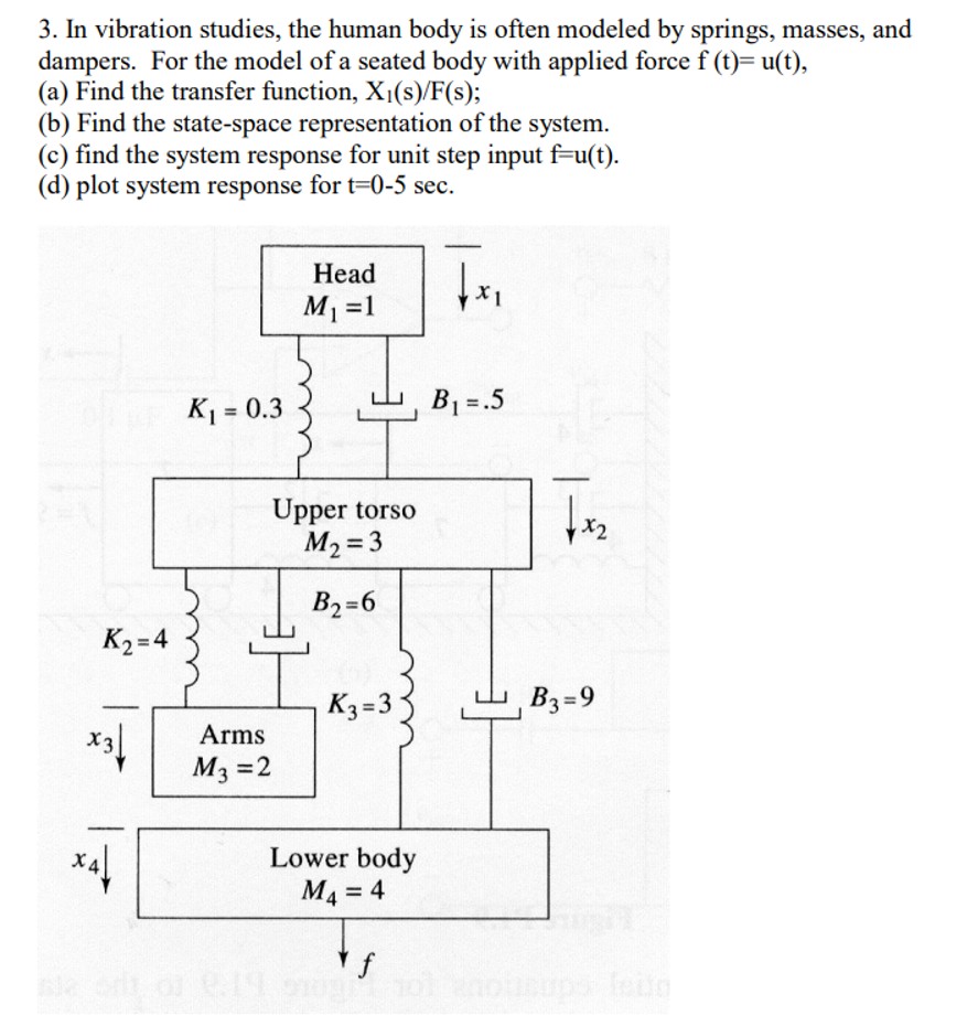 Solved In vibration studies, the human body is often modeled | Chegg.com
